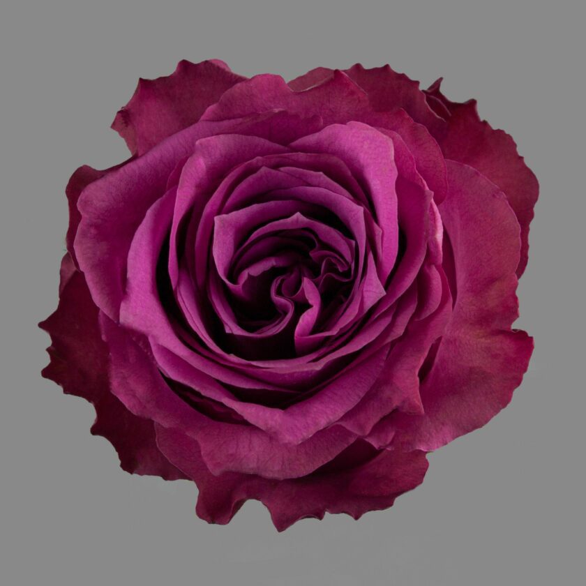 Products – QualisA