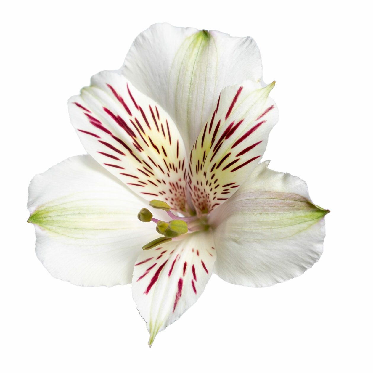 Products – QualisA