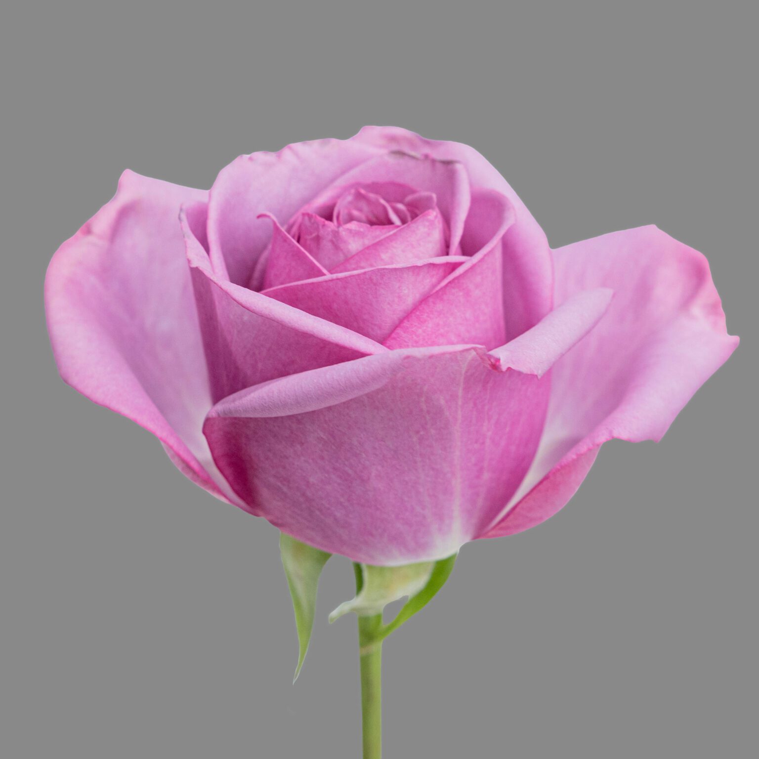 Products – QualisA